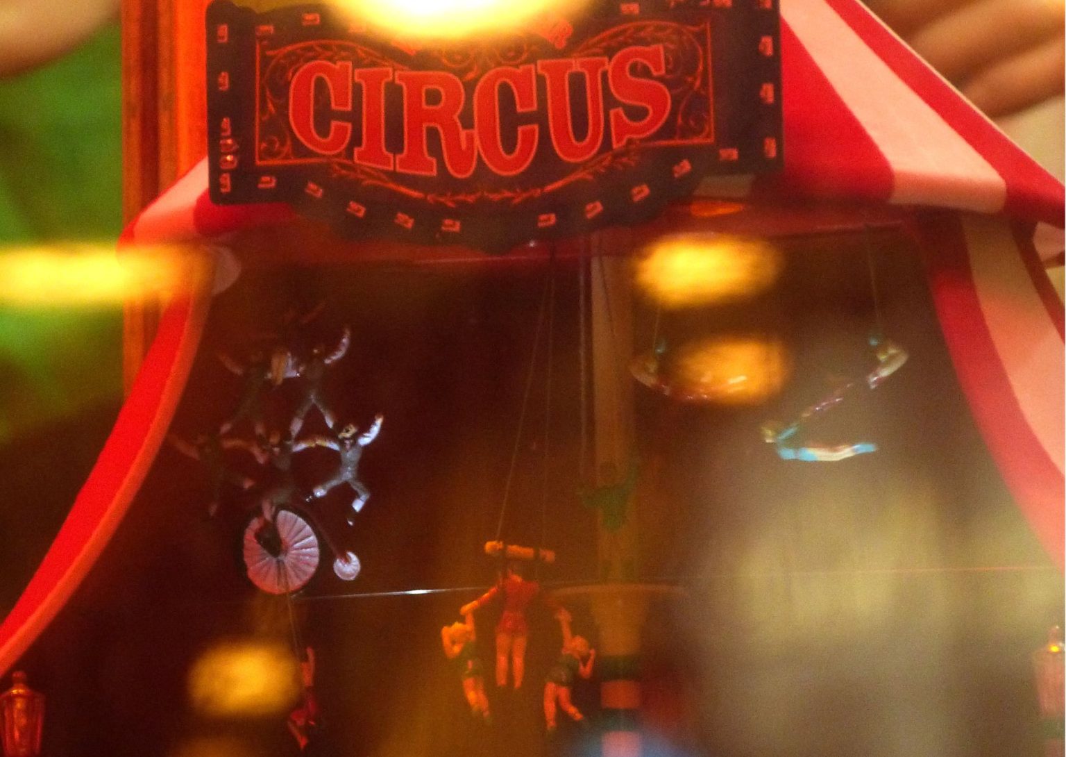 Massachusetts bans wild animals in circuses - Soultalk